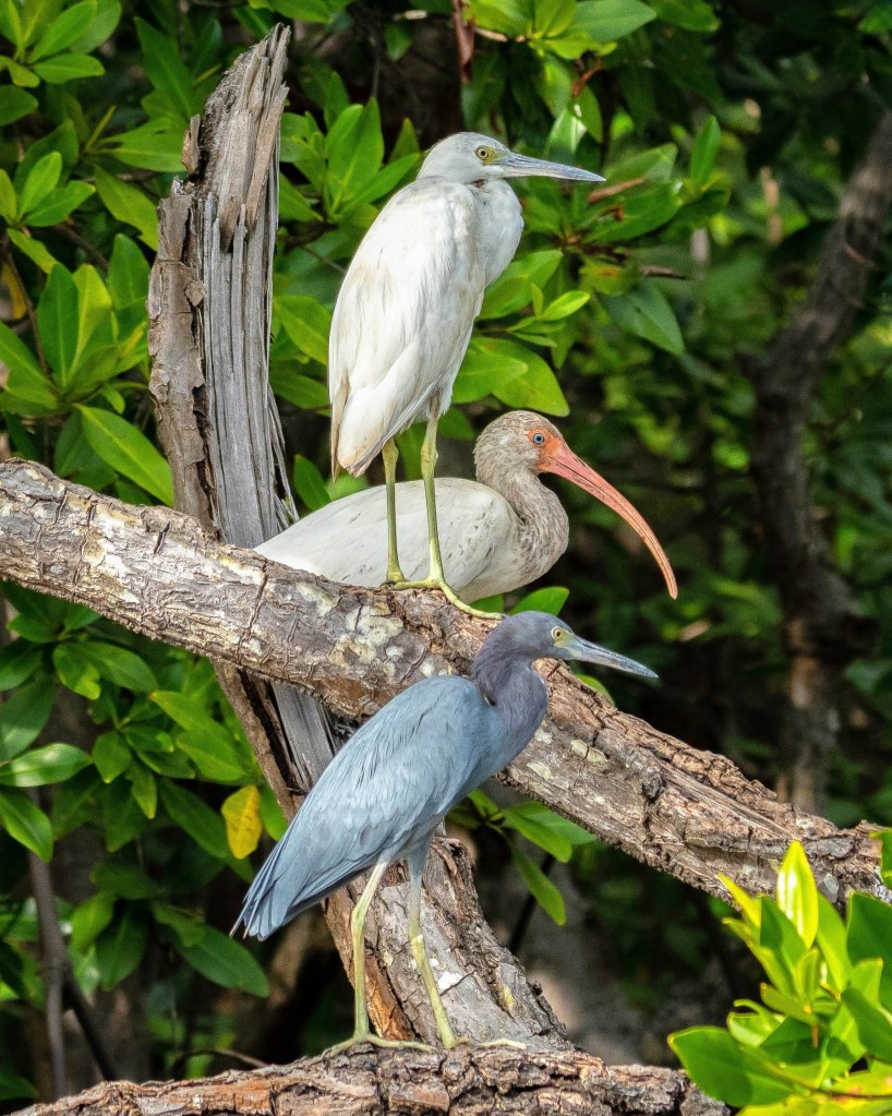 Sam Ray Photo – Capturing your Greatest Surfing Moments